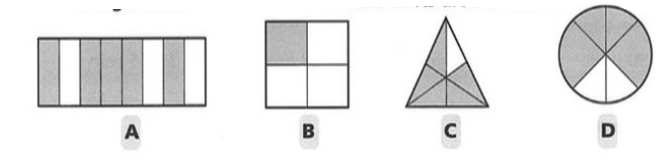Mathematics Paper — The Gregg School